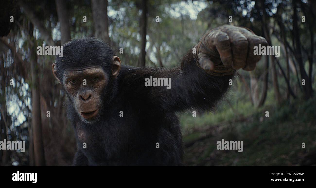 Planet of the apes hi-res stock photography and images - Alamy
