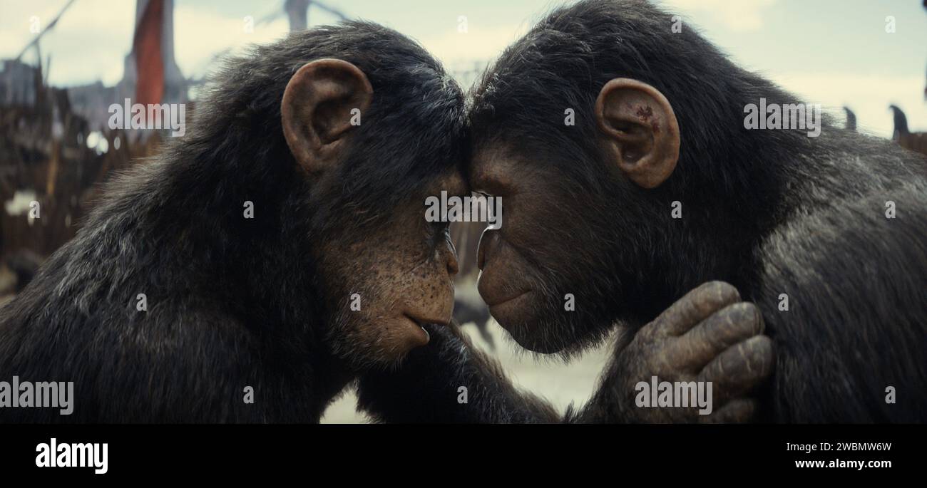 Planet of the apes hi-res stock photography and images - Alamy