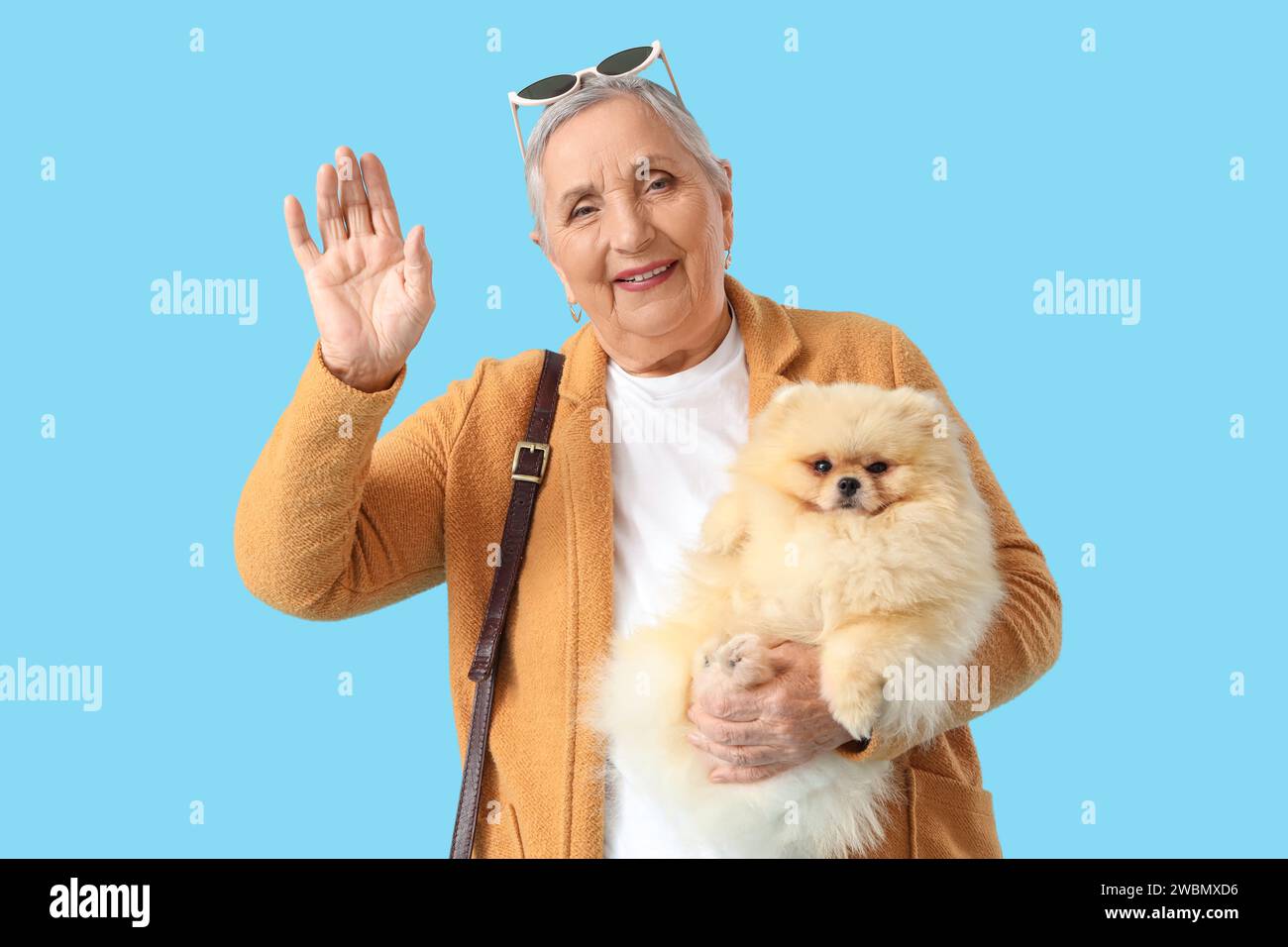 Canine waving hi-res stock photography and images - Alamy