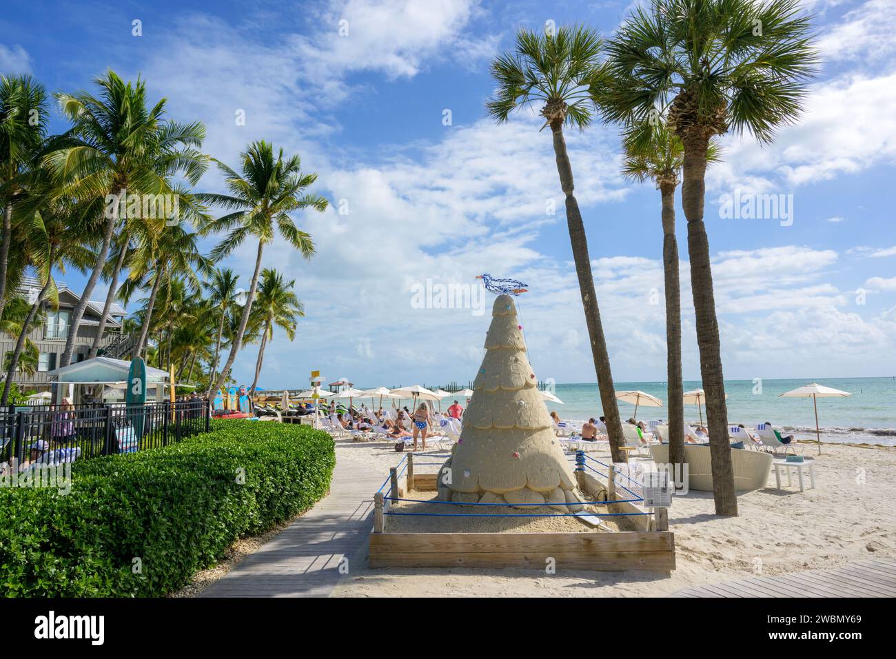 Christmas tree from sea hi-res stock photography and images - Alamy
