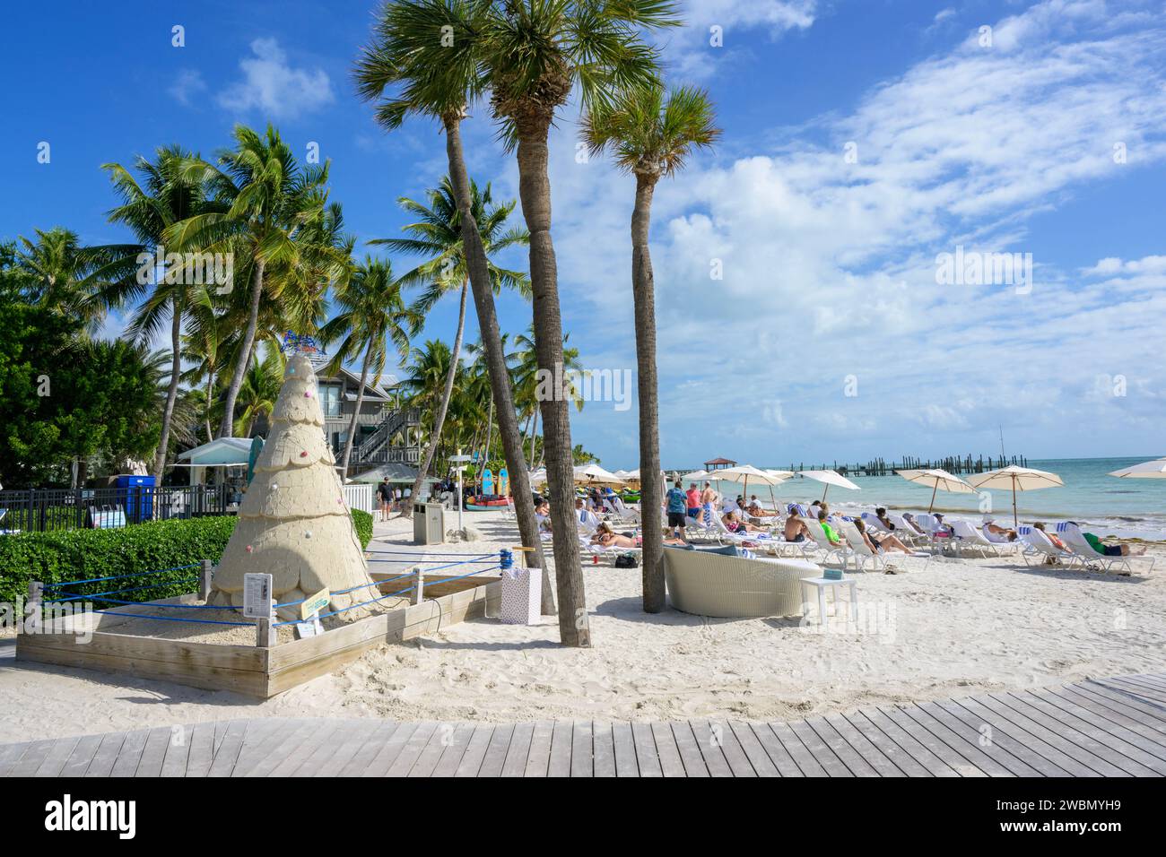 Christmas tree from sea hi-res stock photography and images - Alamy
