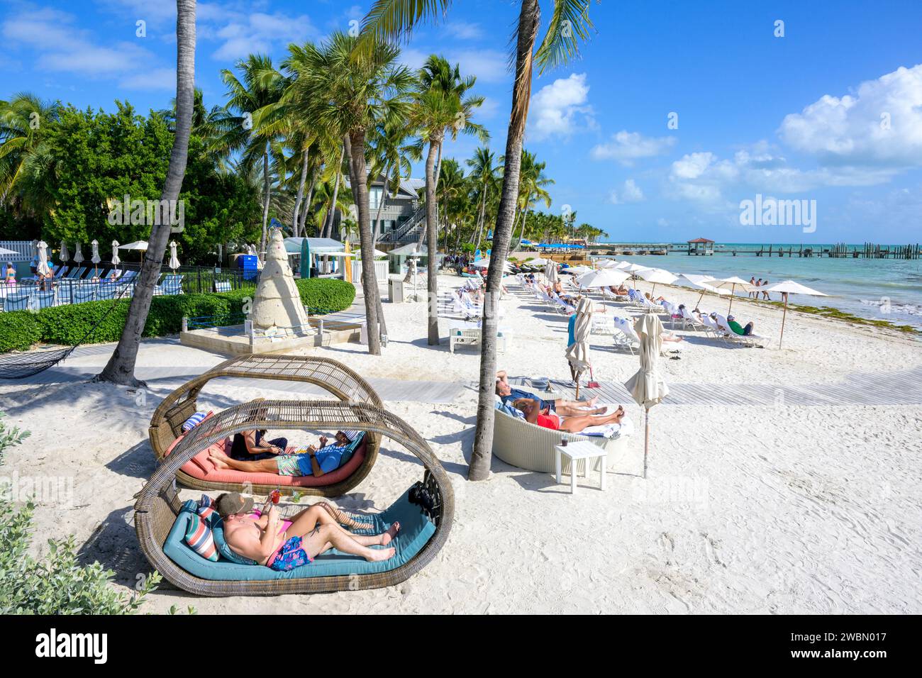 Tropical Beach at the Reach Hotel Key West, Florida USA Stock Photo - Alamy
