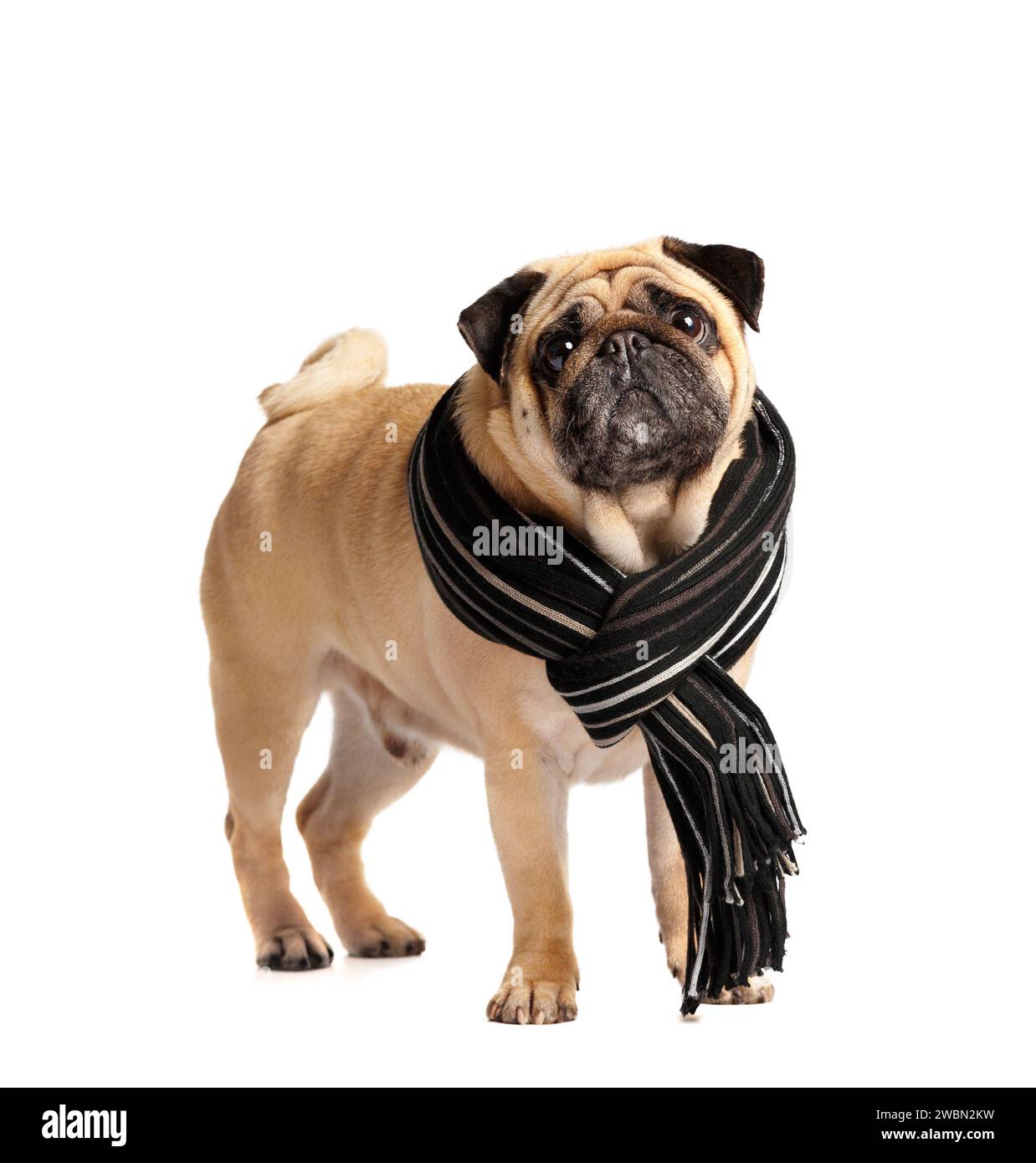 Walking in autumn park on Cut Out Stock Images & Pictures - Alamy