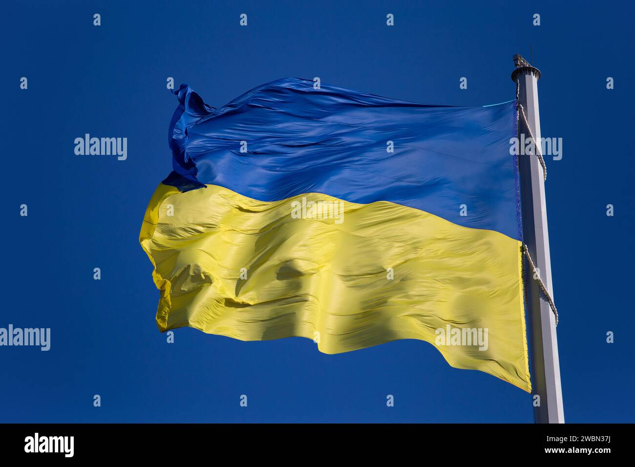 Flag of Ukraine against the blue sky close-up. National pride and ...