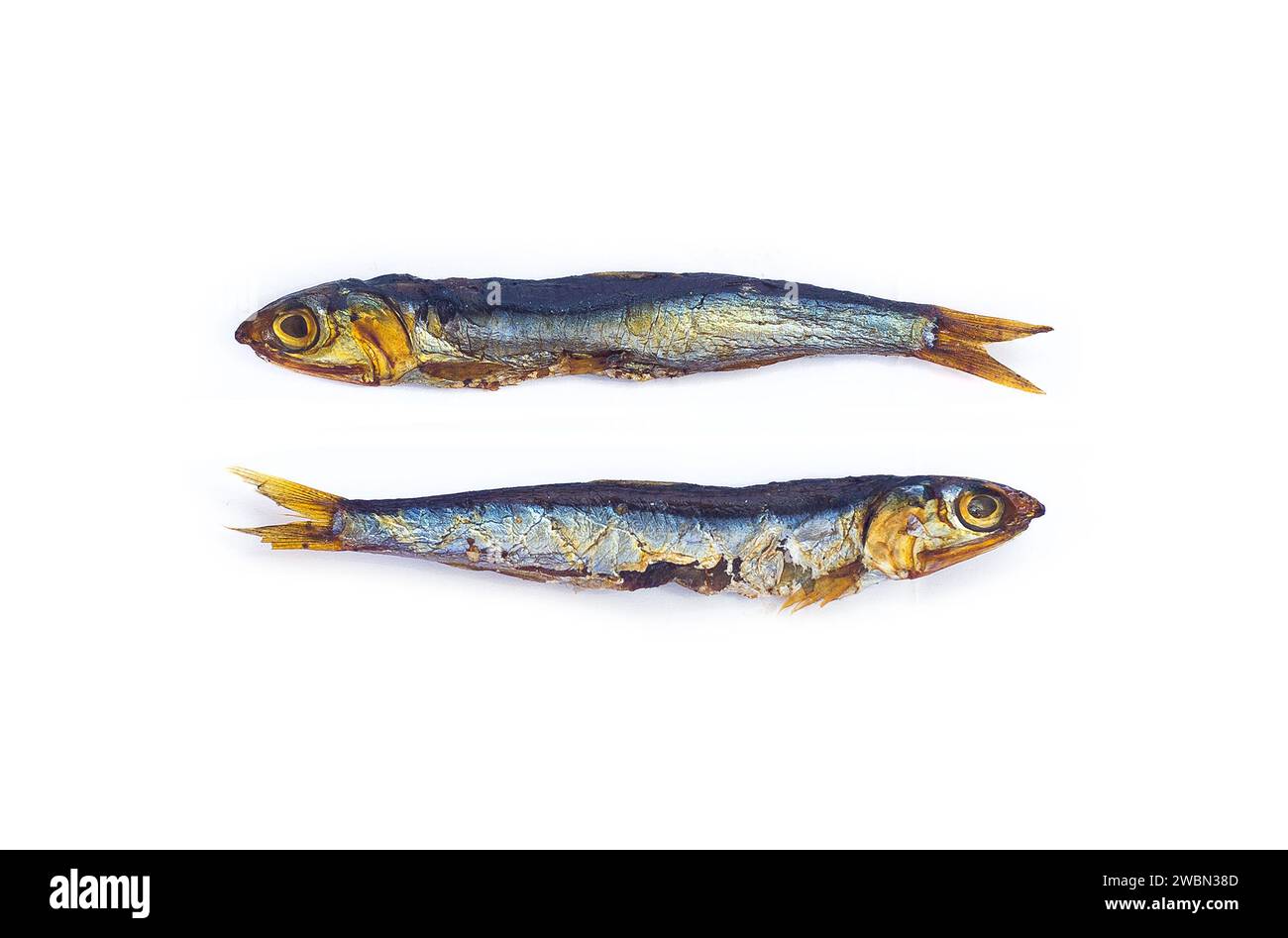 two smoked anchovy fishes, isolated on white Stock Photo - Alamy