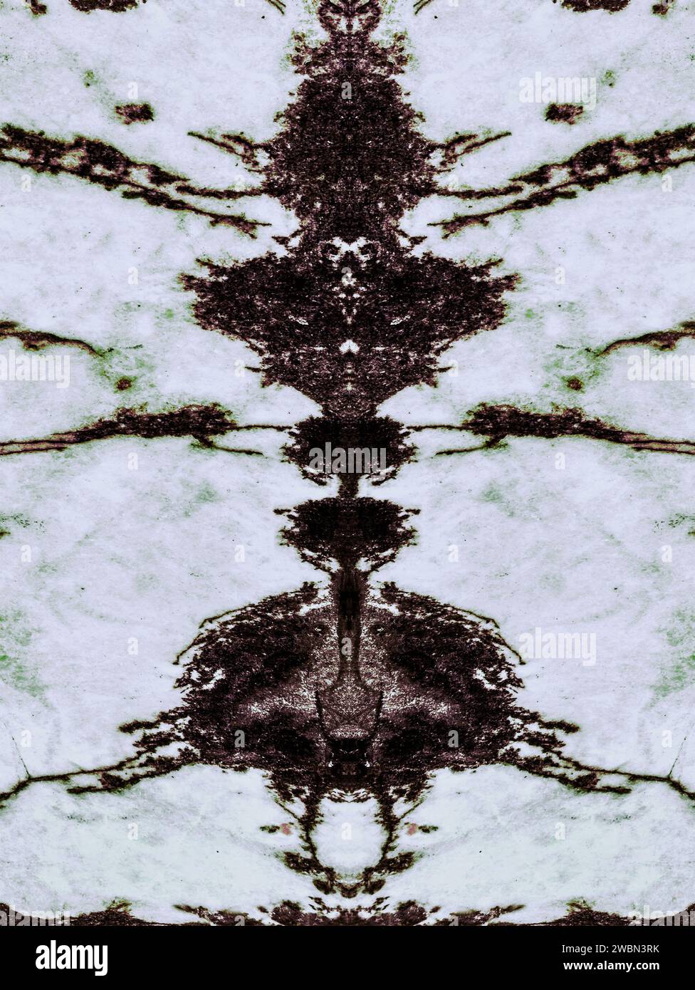 natural pattern with abstract fossil insect Stock Photo - Alamy