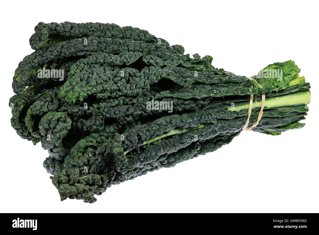 bunch of palm kale isolated on white background Stock Photo - Alamy