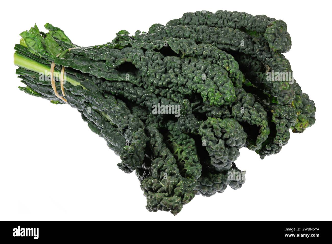 bunch of palm kale isolated on white background Stock Photo - Alamy
