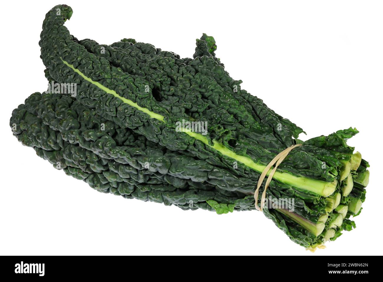 bunch of palm kale isolated on white background Stock Photo - Alamy
