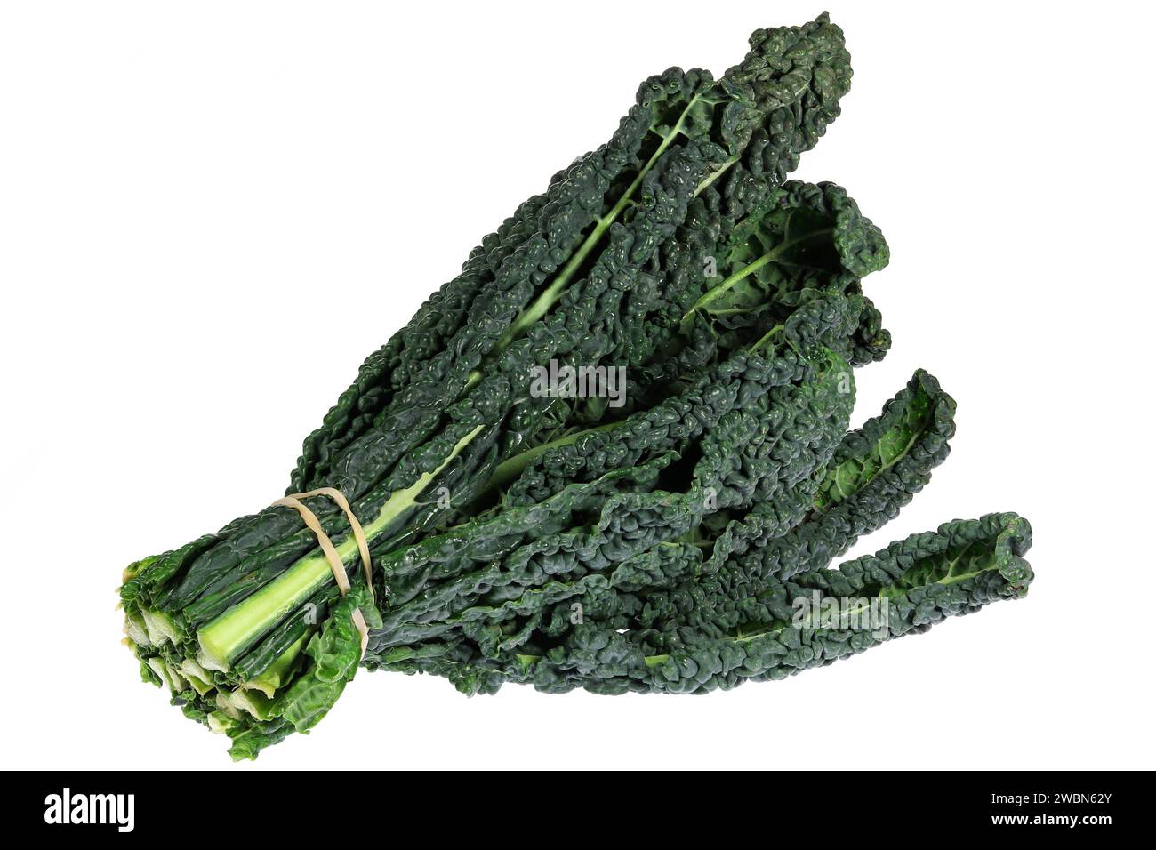 bunch of palm kale isolated on white background Stock Photo - Alamy