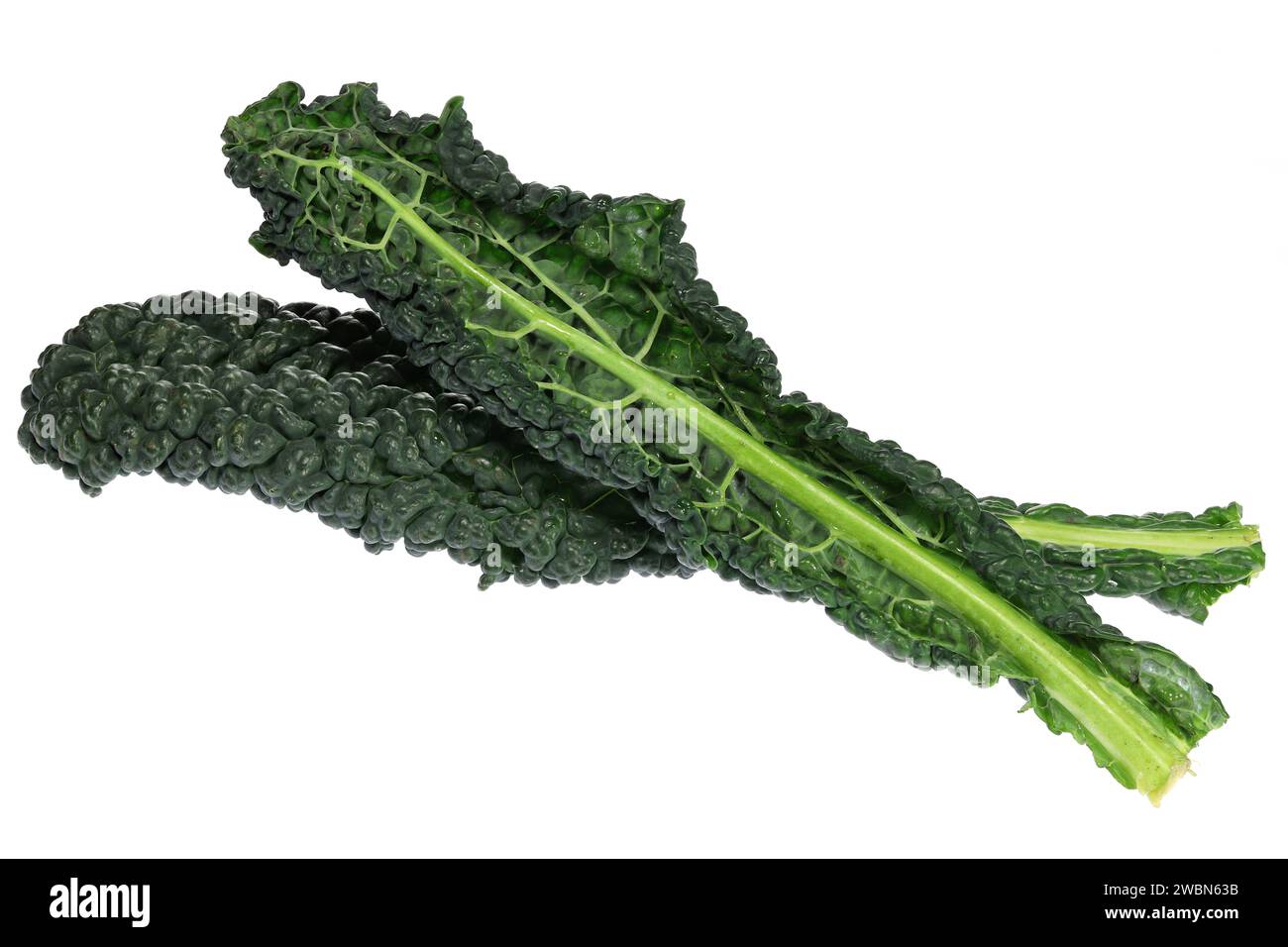 palm kale isolated on white background Stock Photo - Alamy