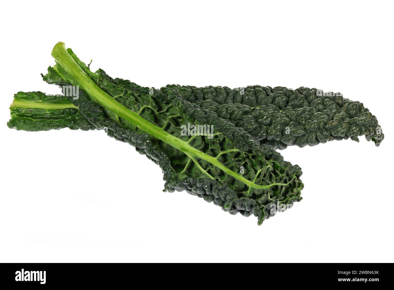 palm kale isolated on white background Stock Photo - Alamy