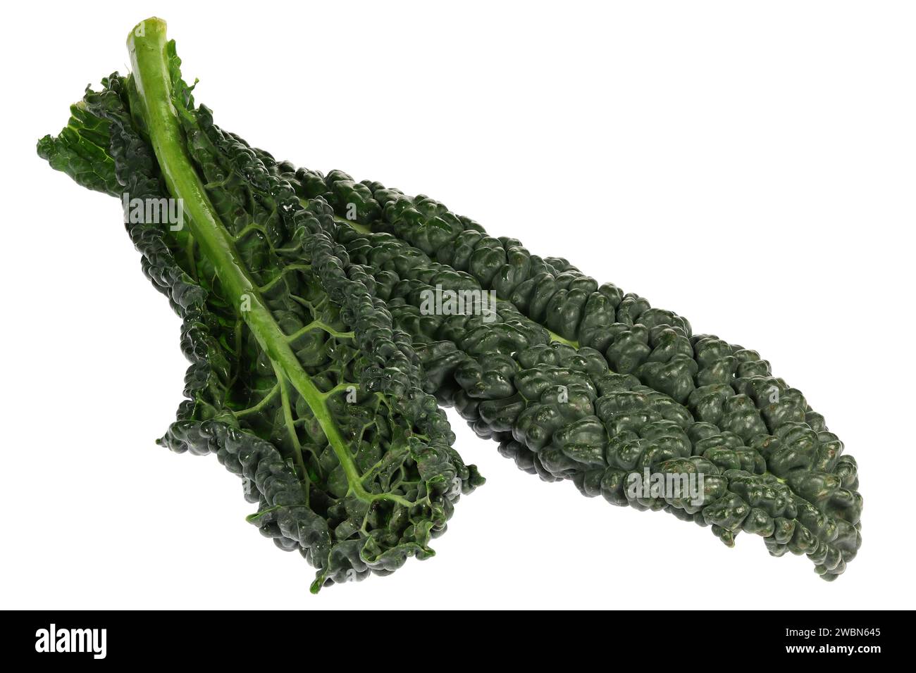 palm kale isolated on white background Stock Photo - Alamy