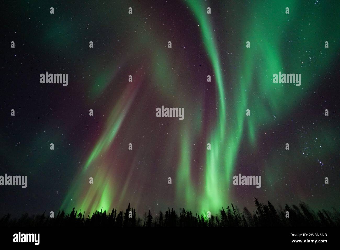 Aurora Borealis, Northern Lights, at Yellowknife, Northwest Territories ...