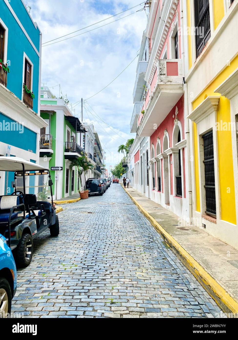 A picturesque scene captured in this photo showcases a row of parked ...