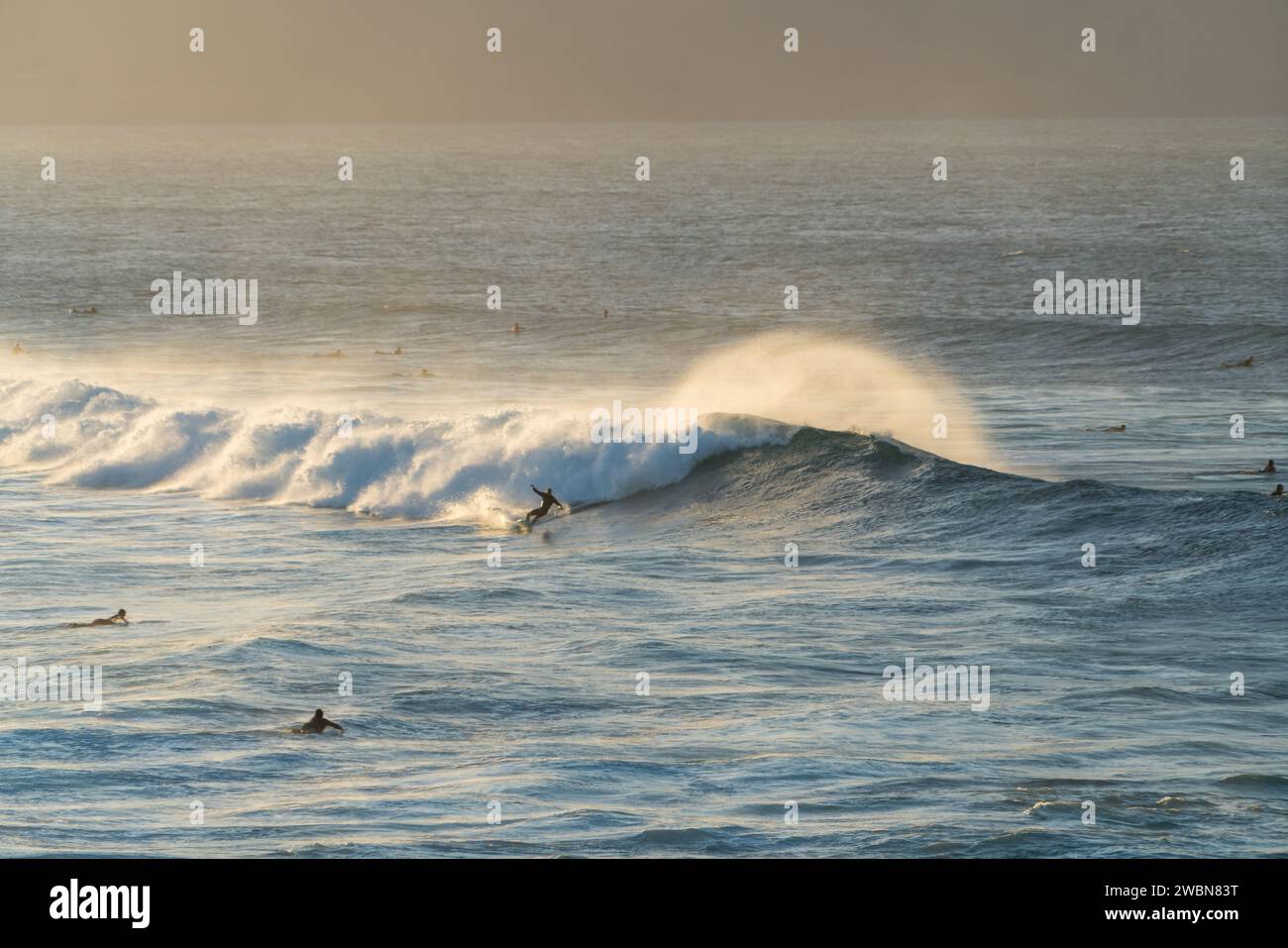 A surfer emerges with the sun at Ho'okipa, carving a path through Maui's pristine morning waves ...