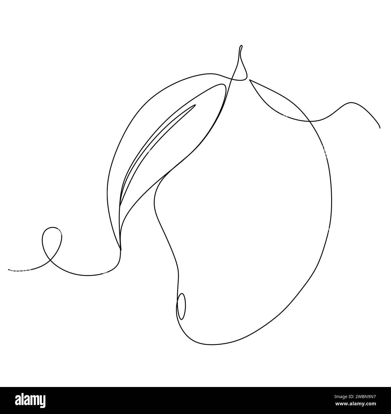 Mango Black and White Stock Photos & Images - Alamy