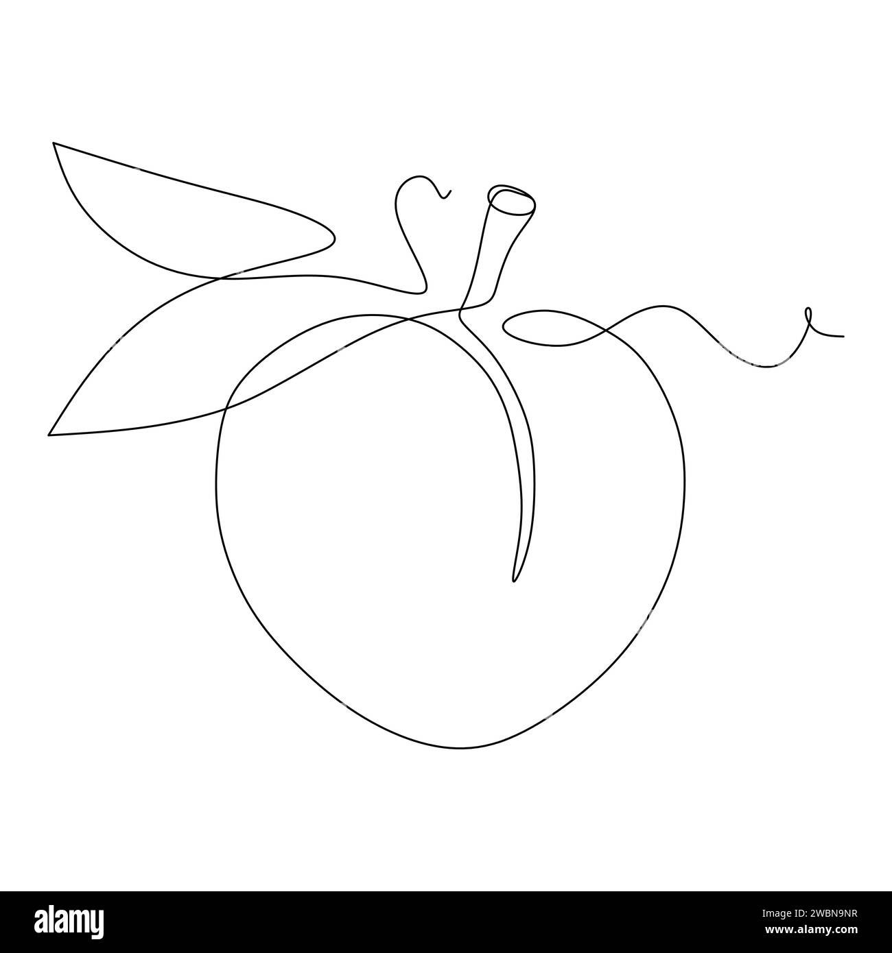Peach vector vectors Black and White Stock Photos & Images - Alamy