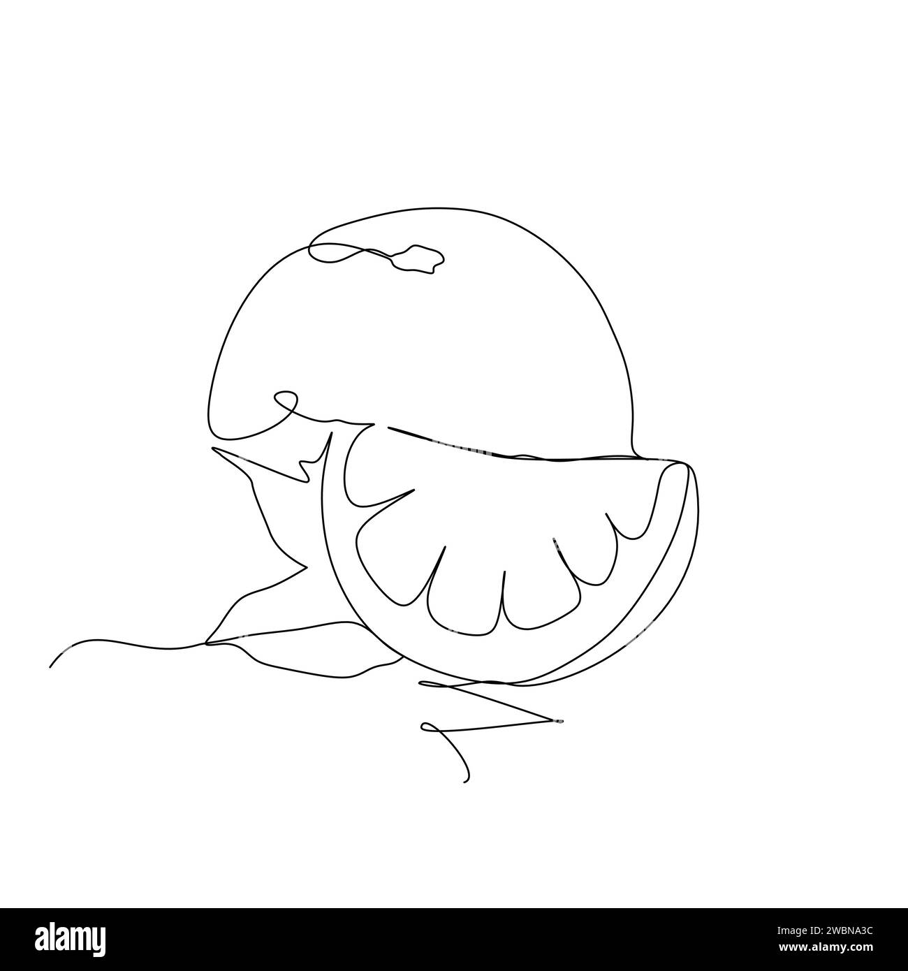 Ripe juicy yellow lemon Black and White Stock Photos & Images - Alamy