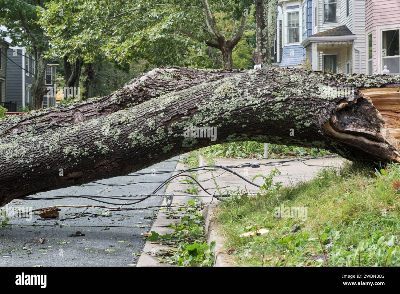 Halifax, Nova Scotia, Canada. September 24th, 2022. electrical wires ...