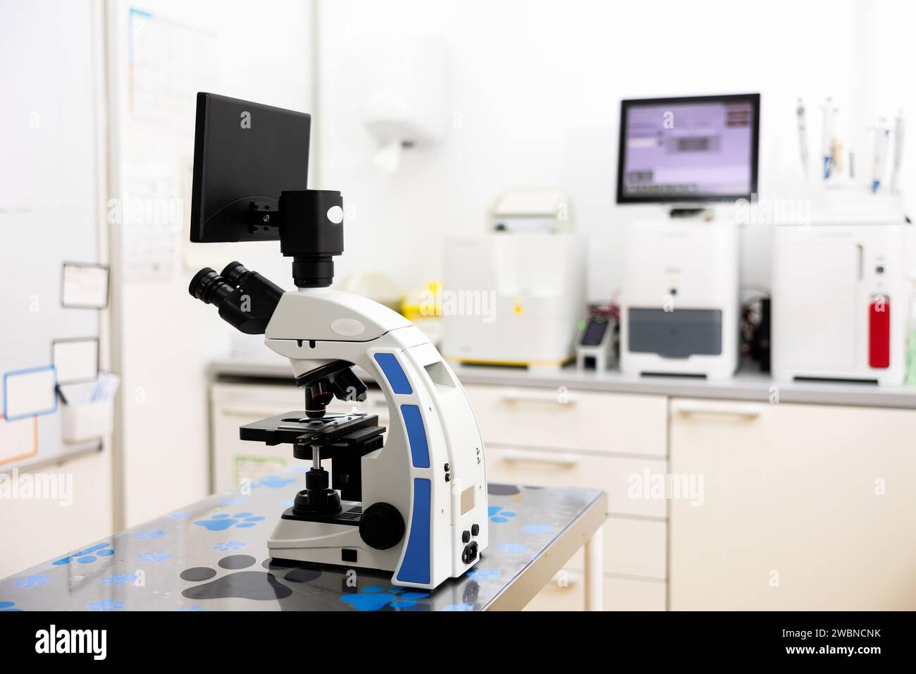 Microscope with multiple magnification, additional monitor screen are ...