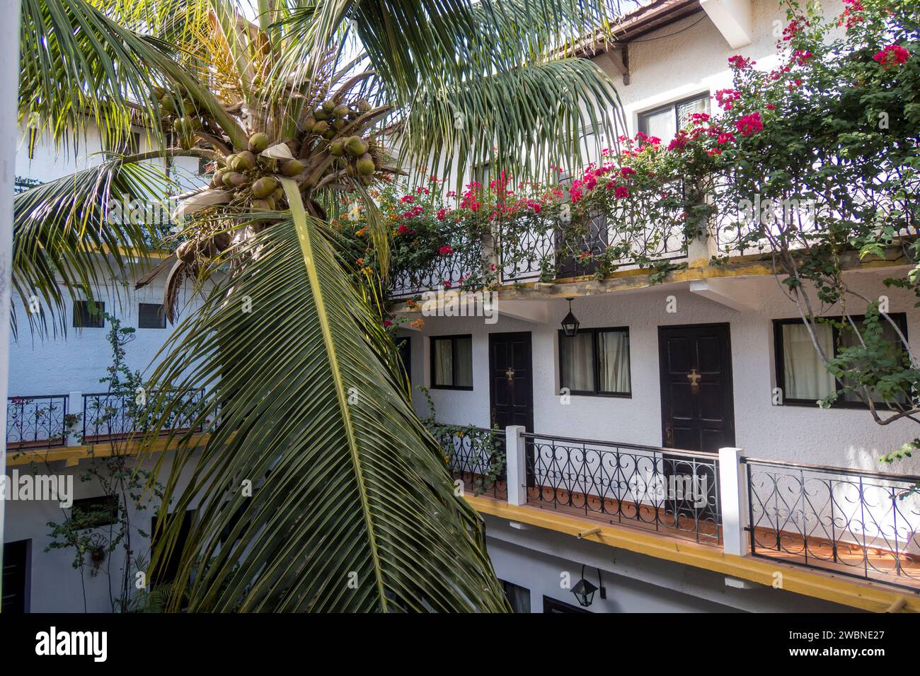 Aeropostale africa hi-res stock photography and images - Alamy