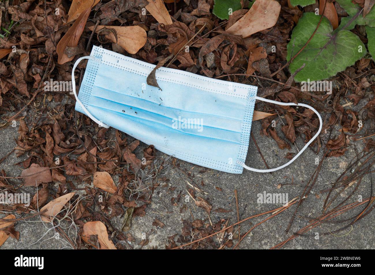 Co-Vid and the benefits of wearing a mask for personal protection and ...