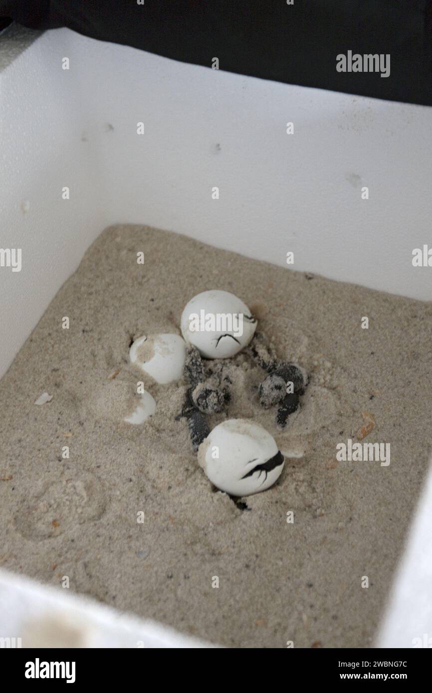 CAPE CANAVERAL, Fla. -- In a secure, climate-controlled facility at ...