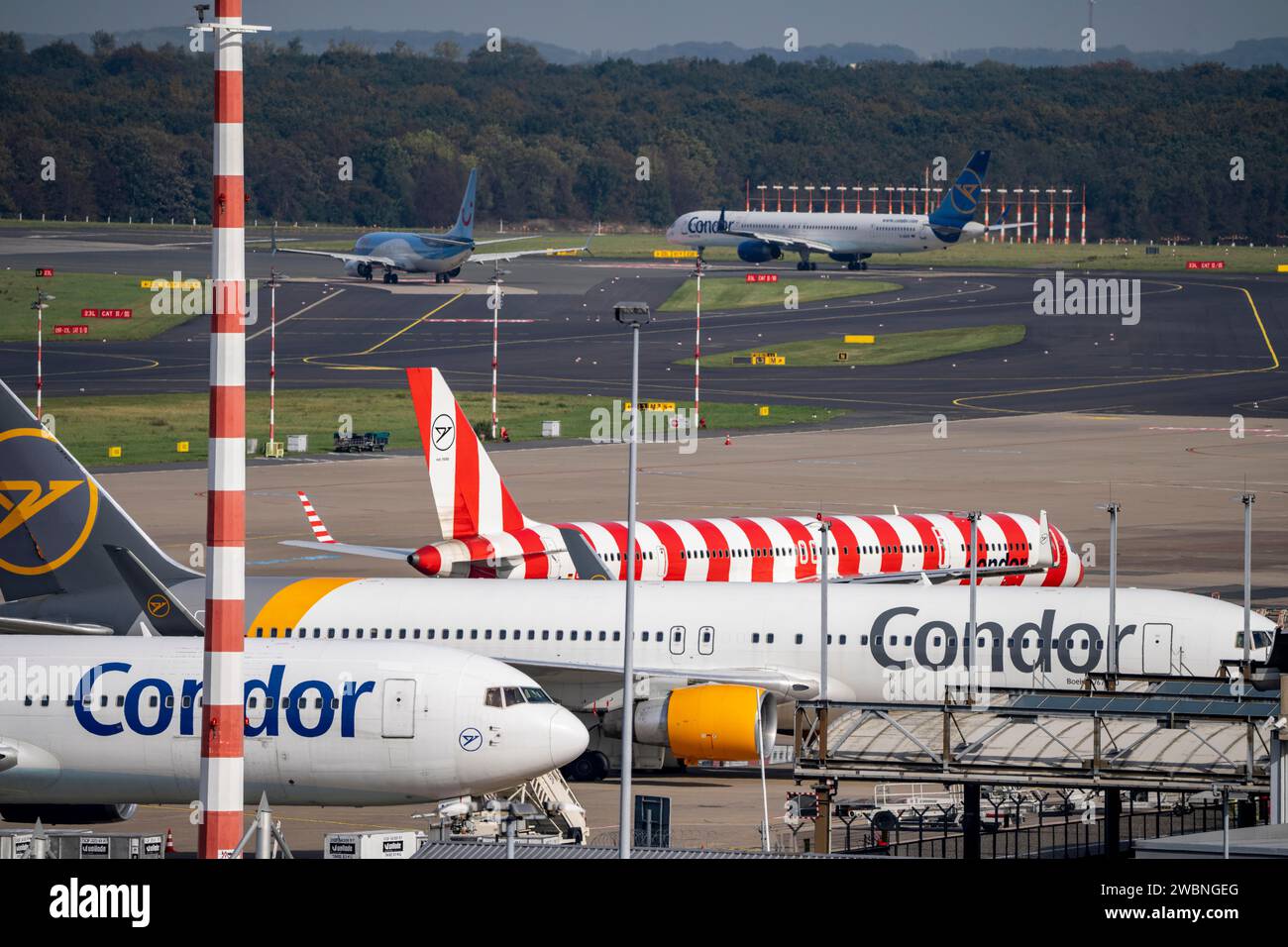 Düsseldorf Airport, TUIfly Boeing 737, Condor aircraft at the outside ...