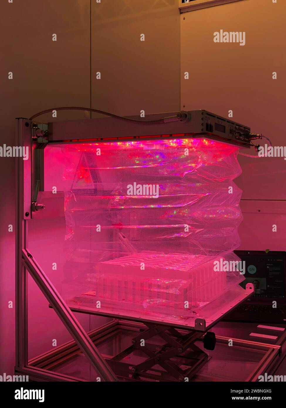 The Science Verification Test for NASA’s Advanced Plant Experiment-08 ...