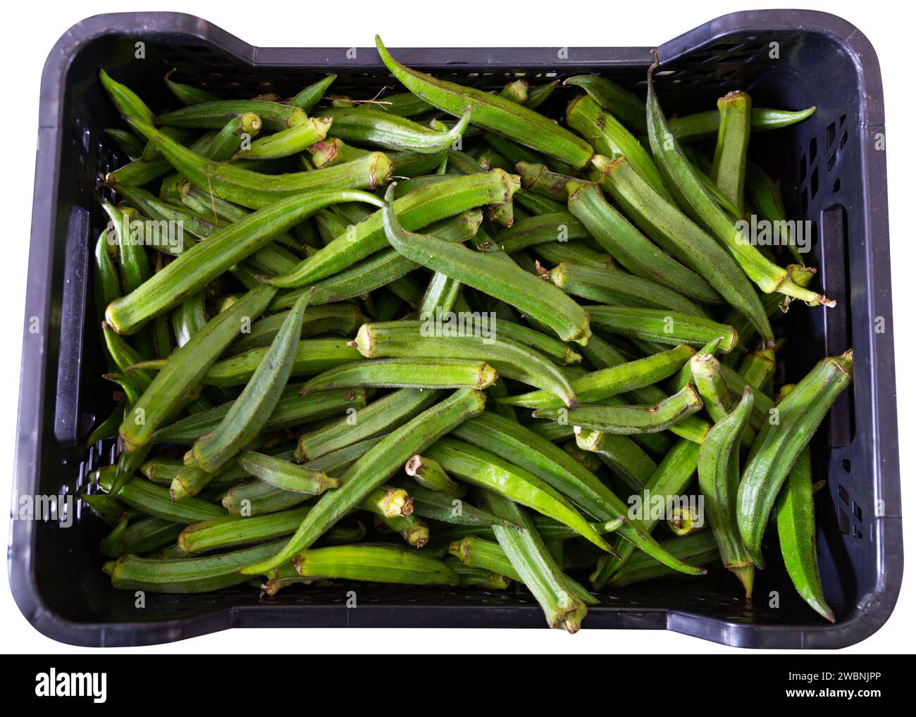 Photo shows garden stuff shop window with display plastic boxes filled ...