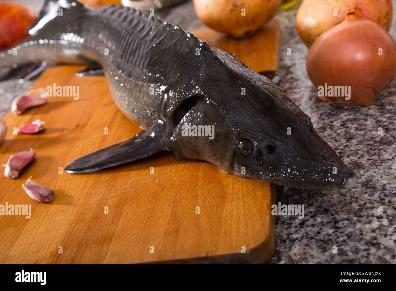 Picture of raw fish sturgeon at plate before preparing Stock Photo - Alamy