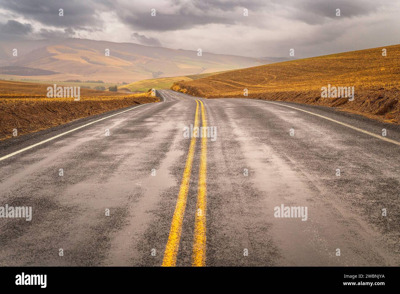 Empty wheat field hi-res stock photography and images - Alamy
