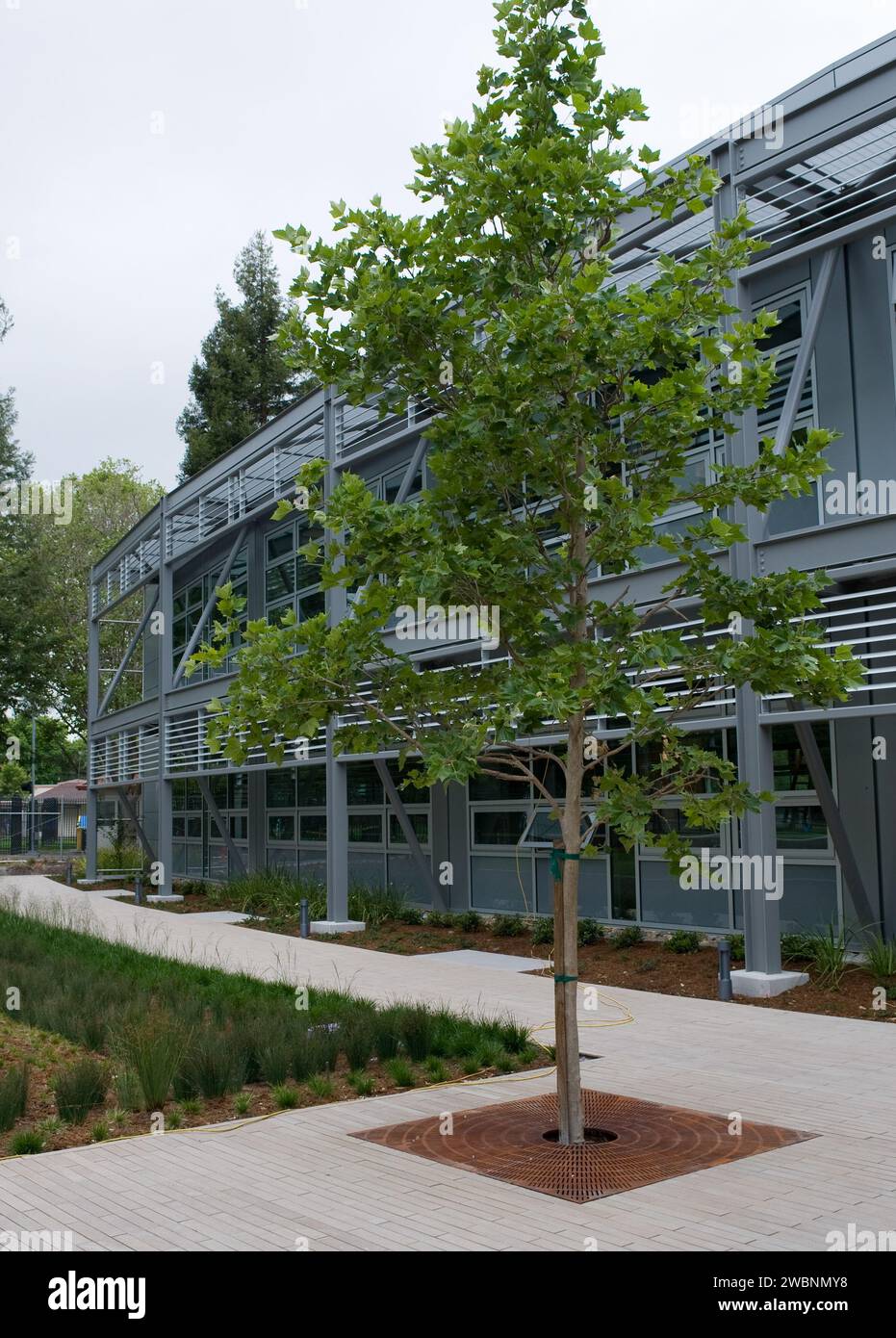 Construction of the new NASA Ames Green Building dubbed Sustainability ...