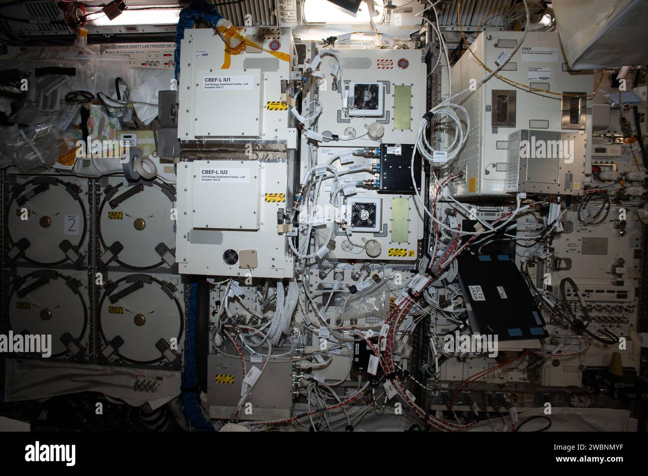 iss062e103684 (3/21/2020) --- A view of the rack containing CBEF-L ...