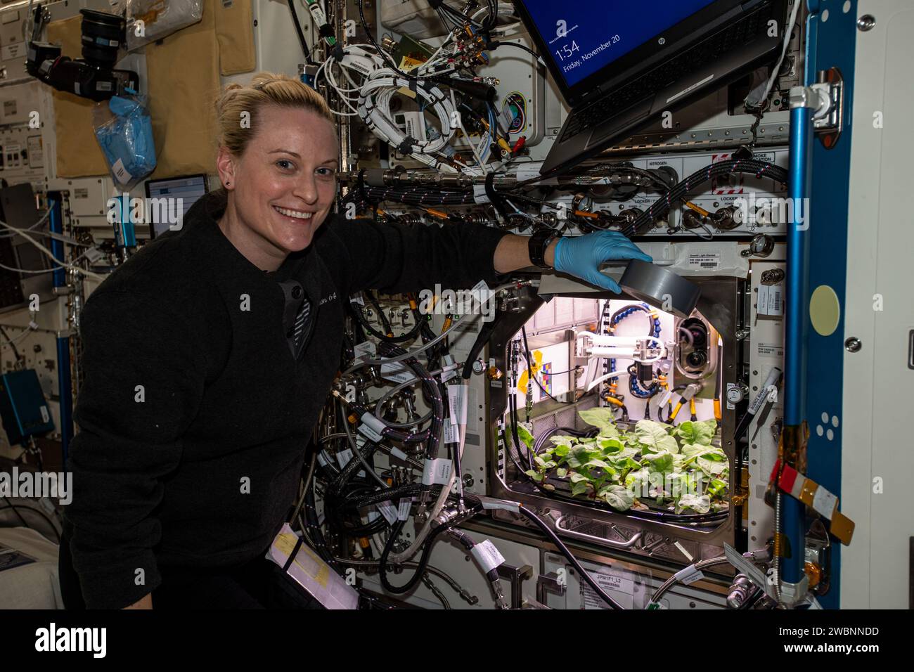 iss064e004997 (Nov. 20, 2020) --- Expedition 64 Flight Engineer Kate ...