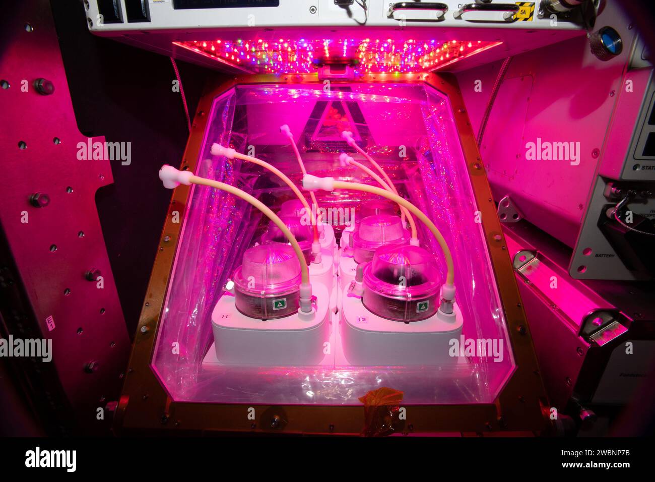 iss062e112685 (3/25/2020) --- Documentation of the Veggie Ponds Modules ...