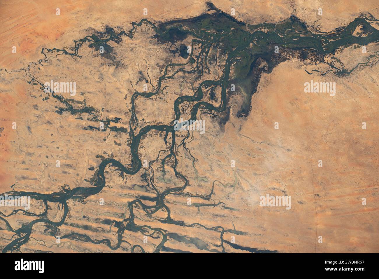 iss070e035884 (Dec. 4, 2023) --- The Niger River, near the city of ...