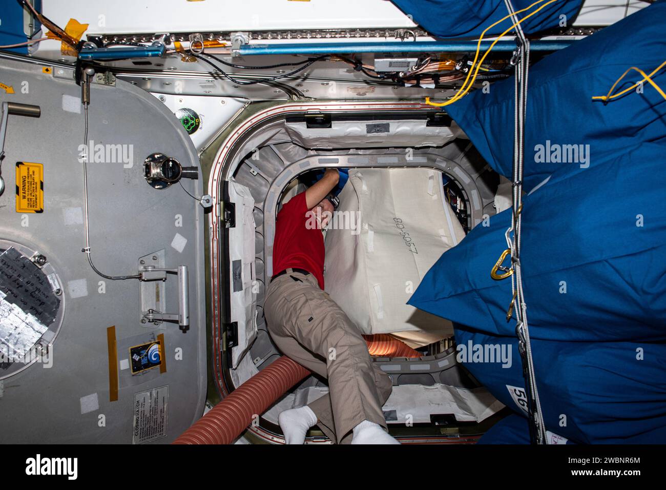 iss064e016831 (Dec. 30, 2020) --- NASA astronaut Shannon Walker is ...