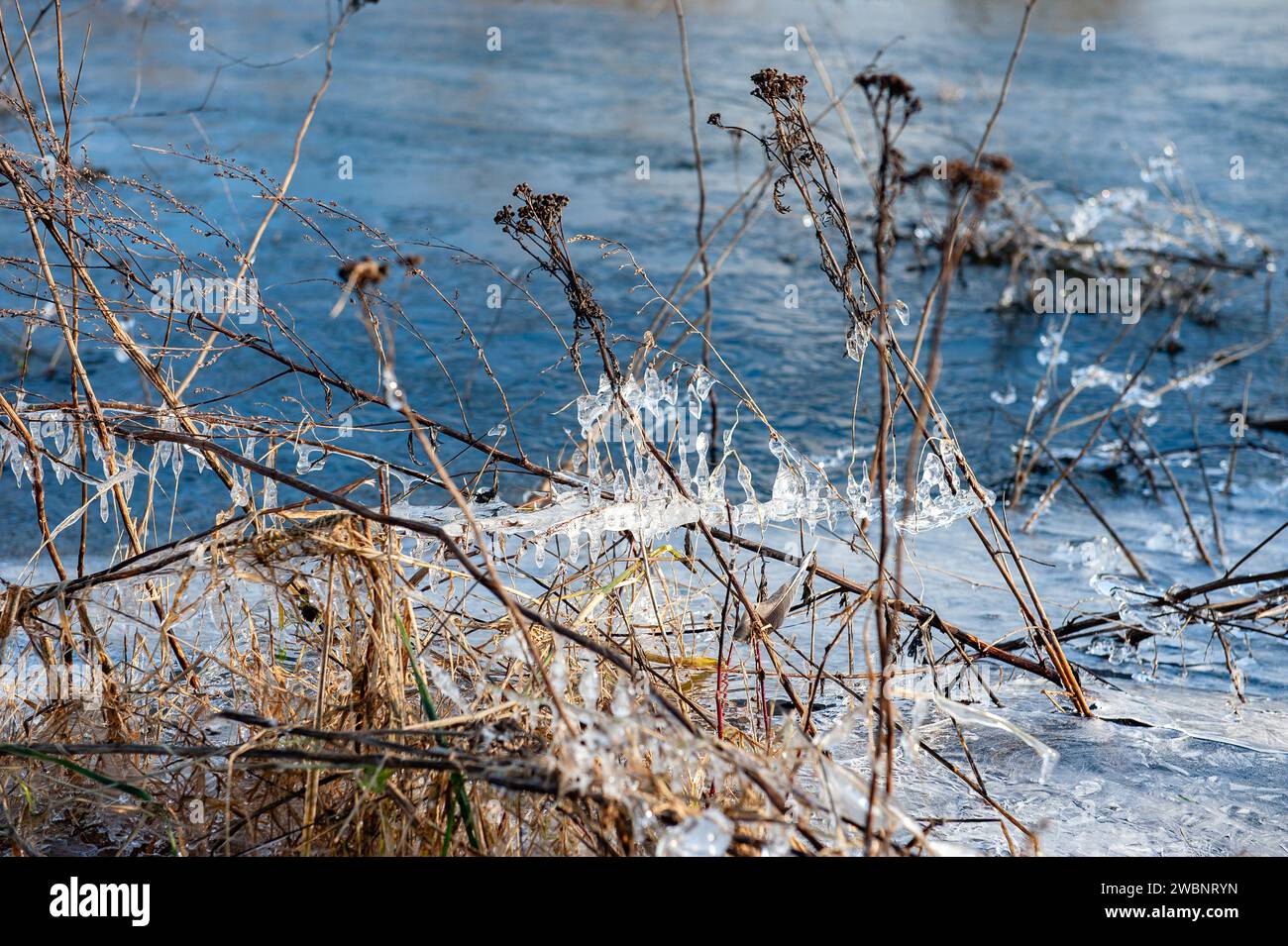 Nijmegen, Gelderland, Netherlands. 11th Jan, 2024. General view of some ...