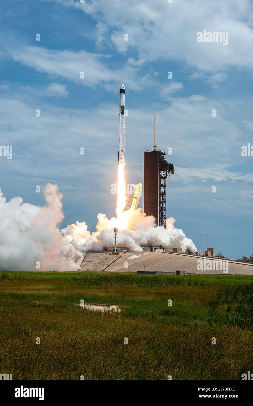 A SpaceX Falcon 9 rocket and Crew Dragon spacecraft lifts off from ...