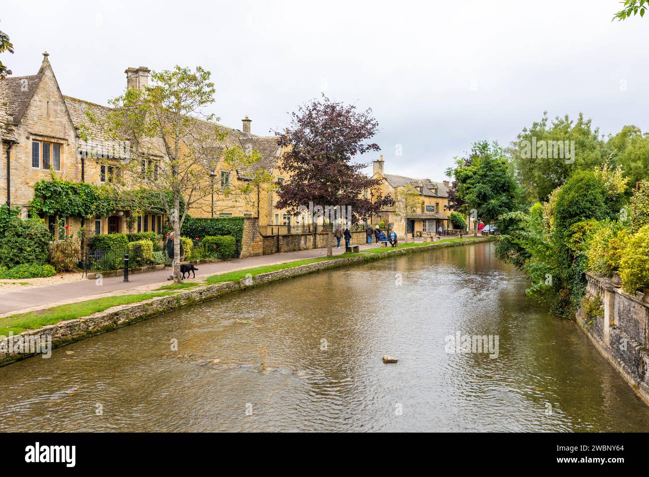 Village cotswolds street ducks hi-res stock photography and images - Alamy