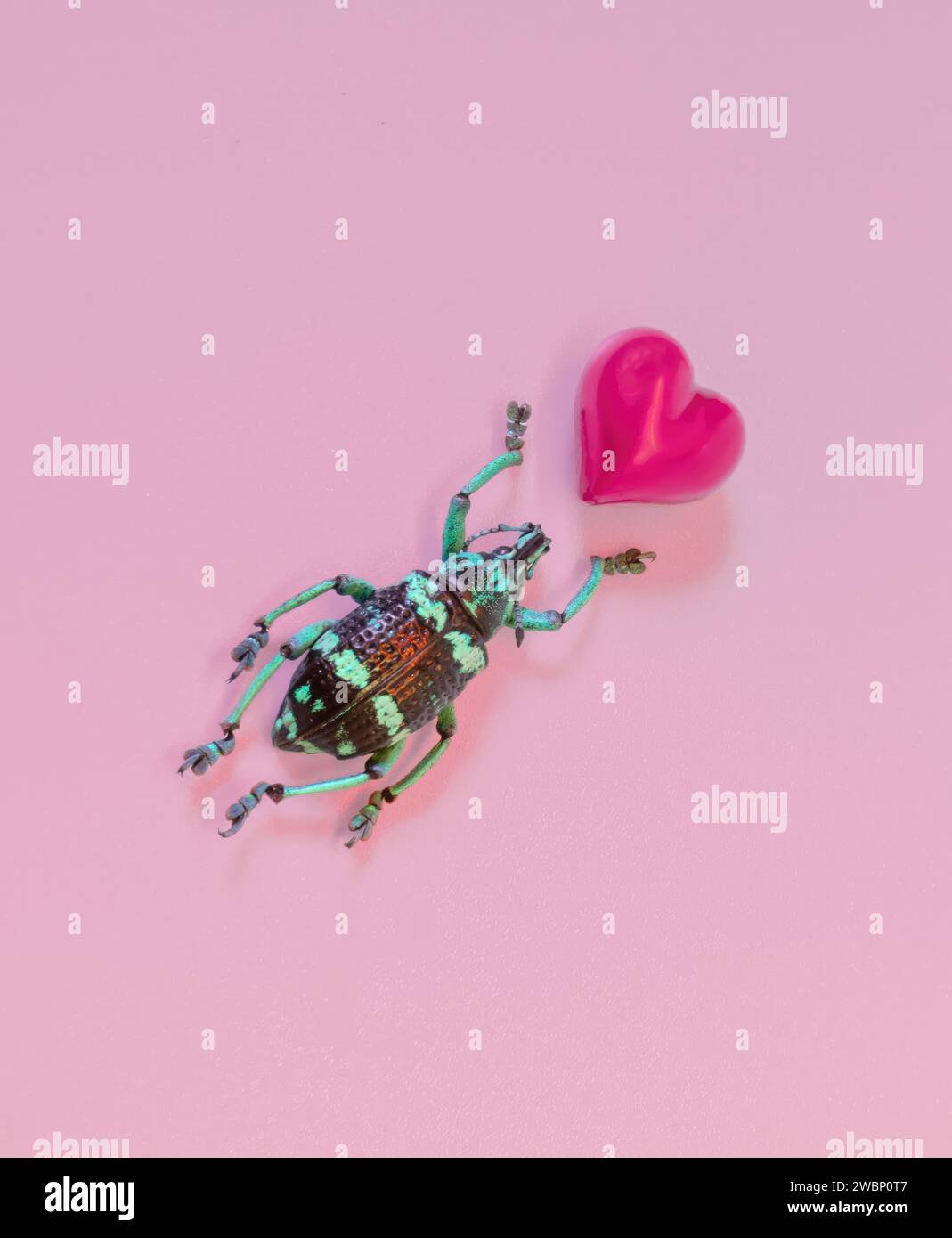 Love bug hi-res stock photography and images - Alamy