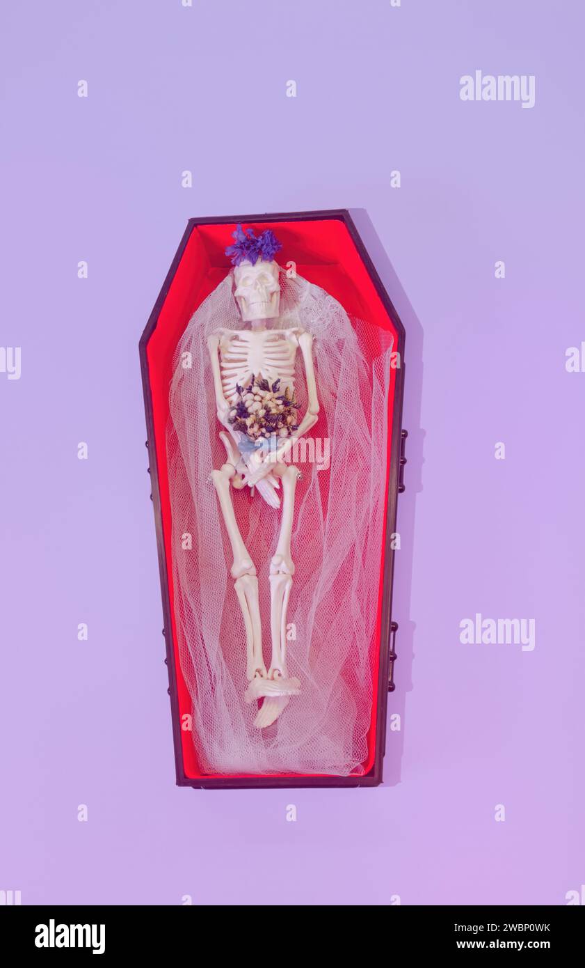 A Veiled Skeleton Bride in a Velvet Lined Coffin Holding a Bouquet of ...