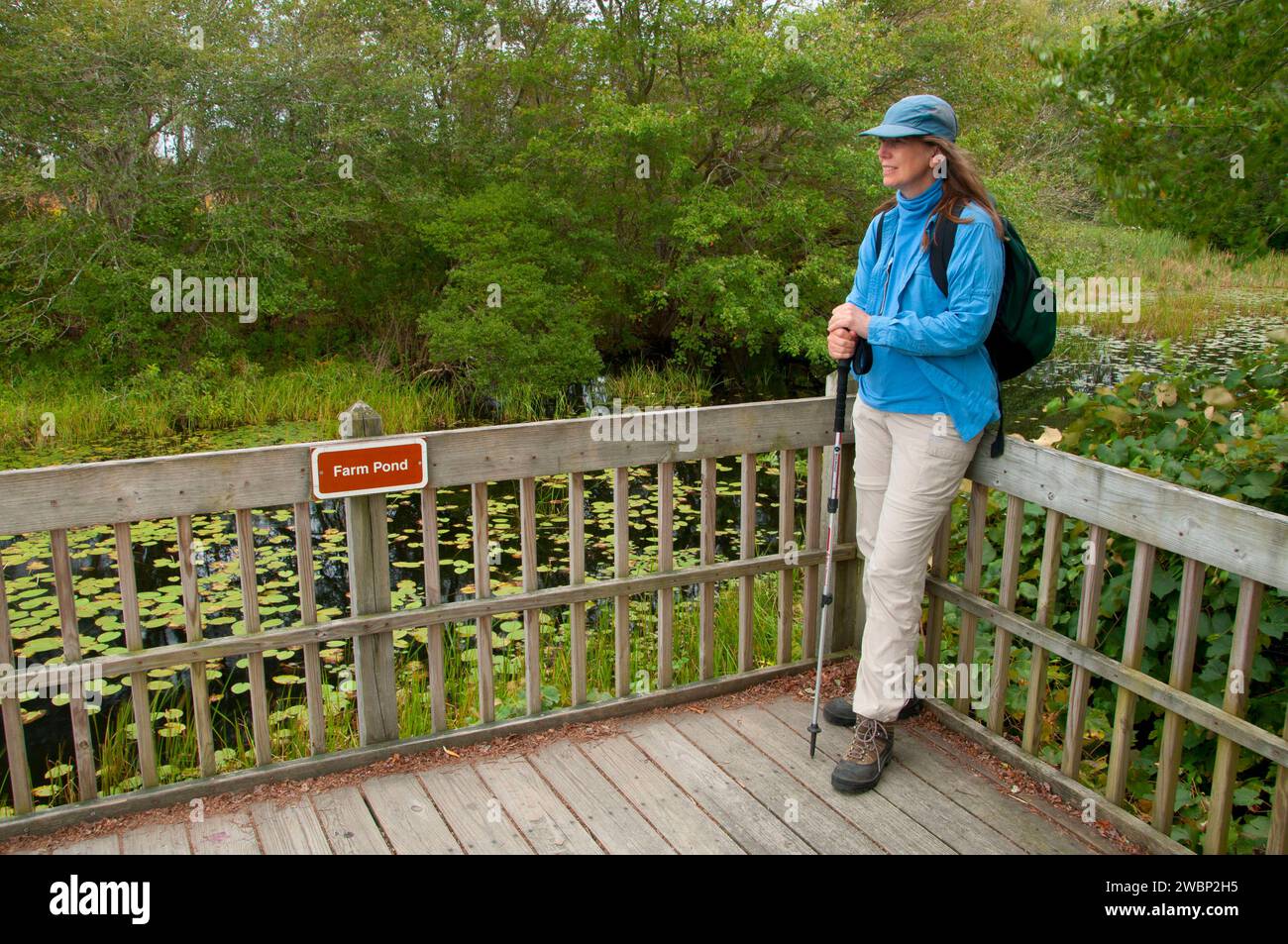 Observation platform on Farm Pond, Trustom Pond National Wildlife ...