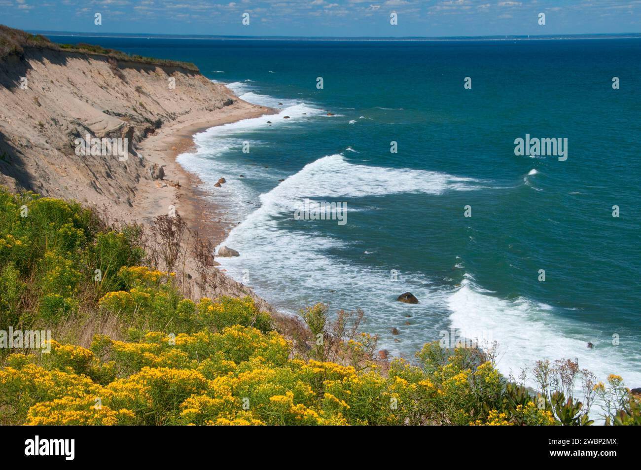 Coastal scrub to beach cliff at Clay Head, Clay Head Preserve, Block ...