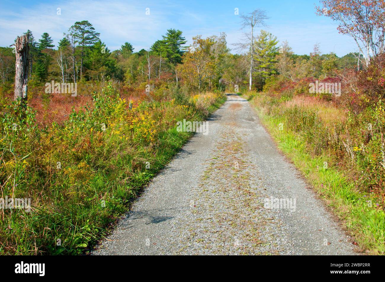 Trail great swamp management area hi-res stock photography and images ...