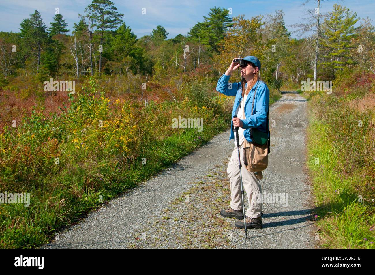 Trail great swamp management area hi-res stock photography and images ...