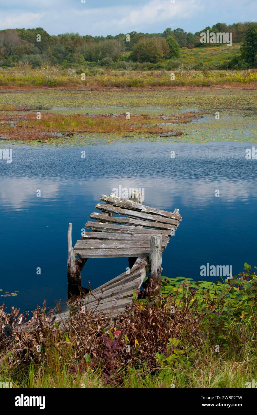 Great Swamp, Great Swamp Management Area, Rhode Island Stock Photo - Alamy