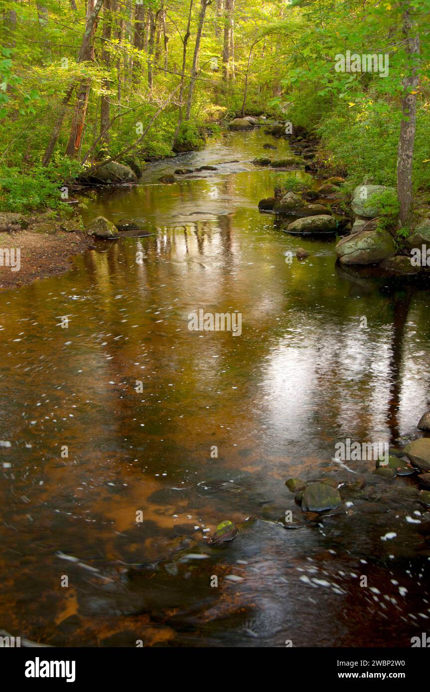 Arcadia management area hi-res stock photography and images - Alamy